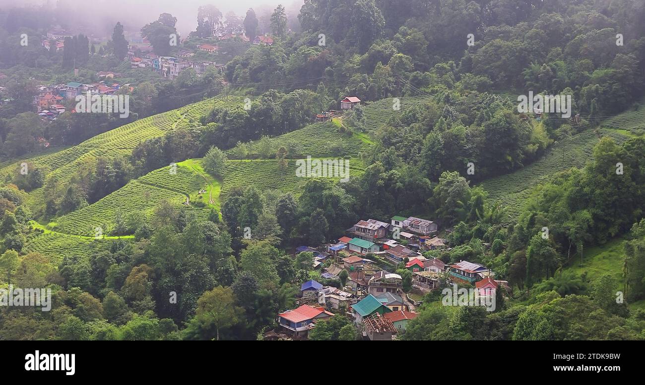 cloudy himalayan mountains foothills, tea plantation and countryside ...