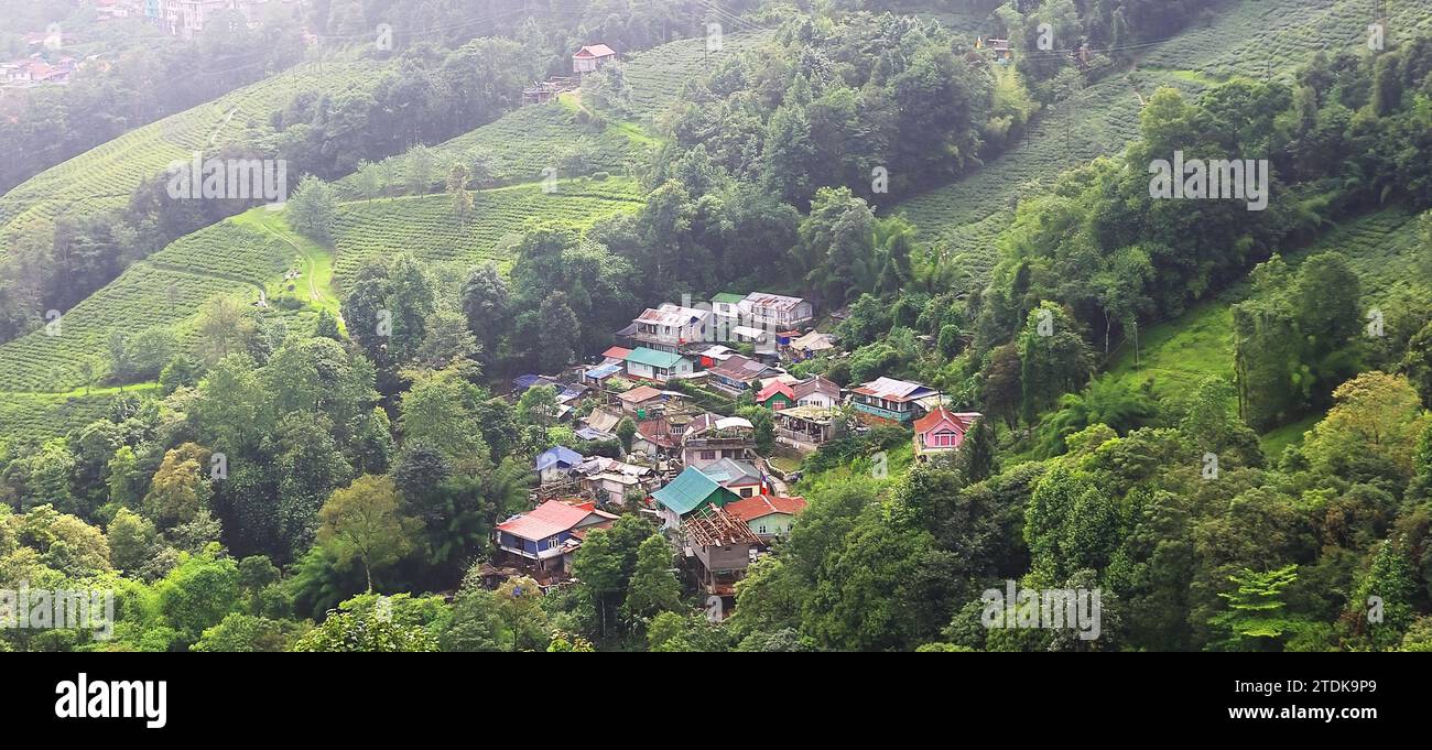cloudy himalayan mountains foothills, tea plantation and countryside ...