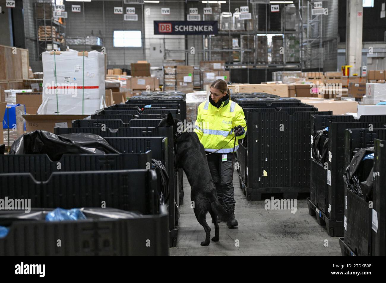 PRODUCTION - 07 December 2023, Hesse, Frankfurt/Main: Dog handler ...