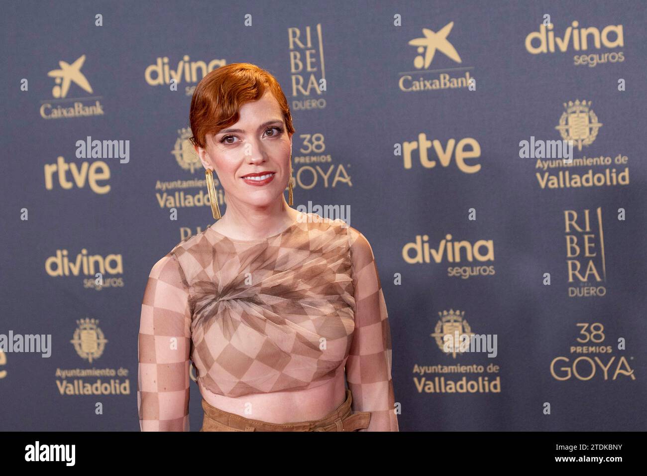 Candidates to goya cinema awards dinner party 2024 photocall hi-res ...