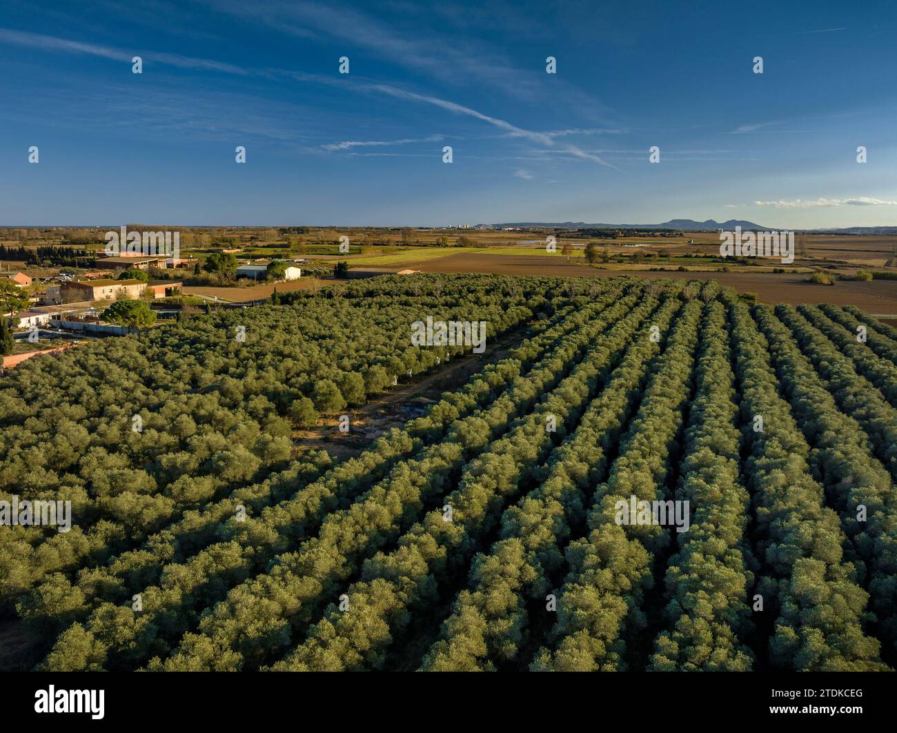 Aerial view of the village of Riumors and the fields and rural ...