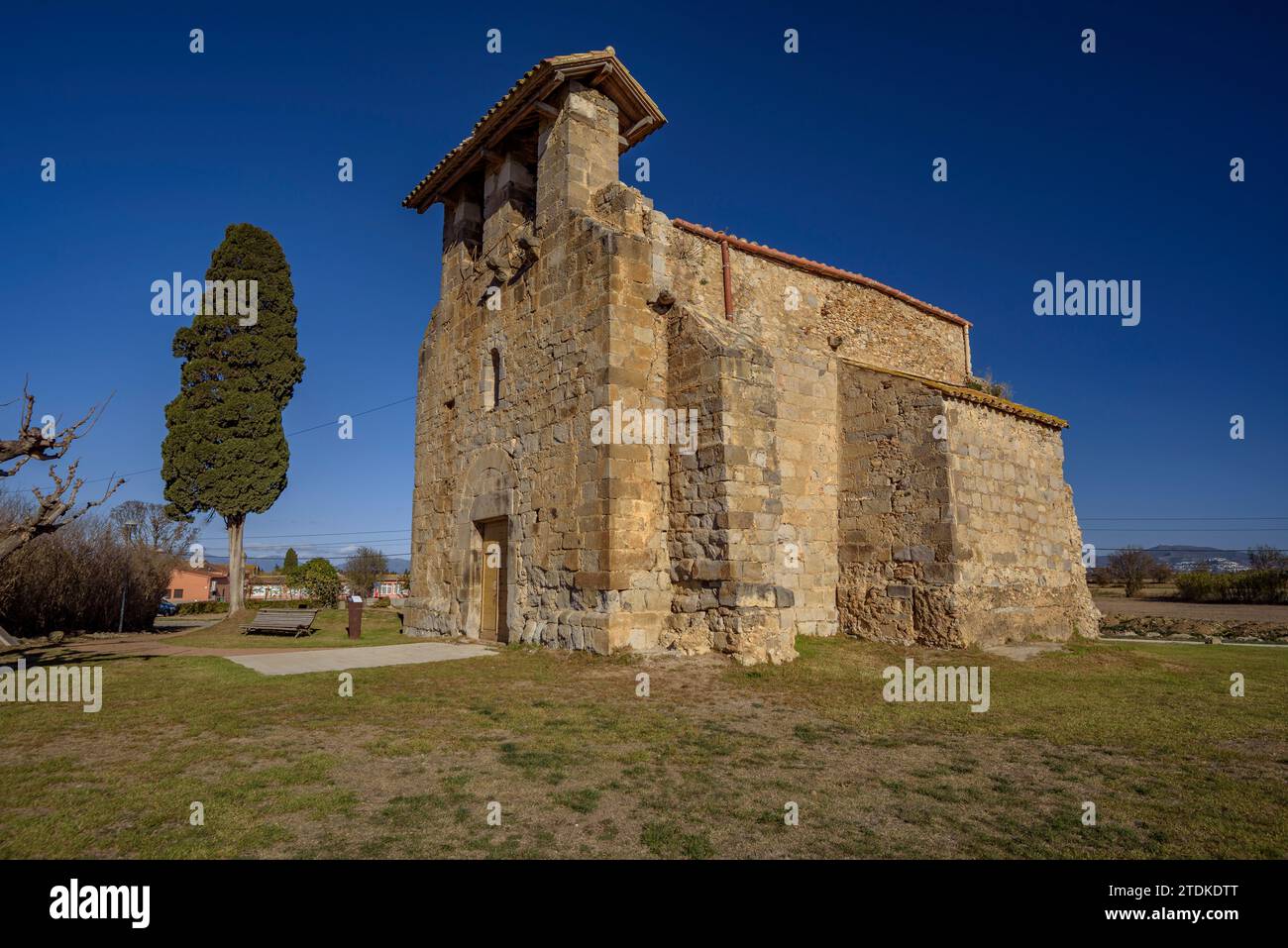 Arbol de cipres hi-res stock photography and images - Alamy