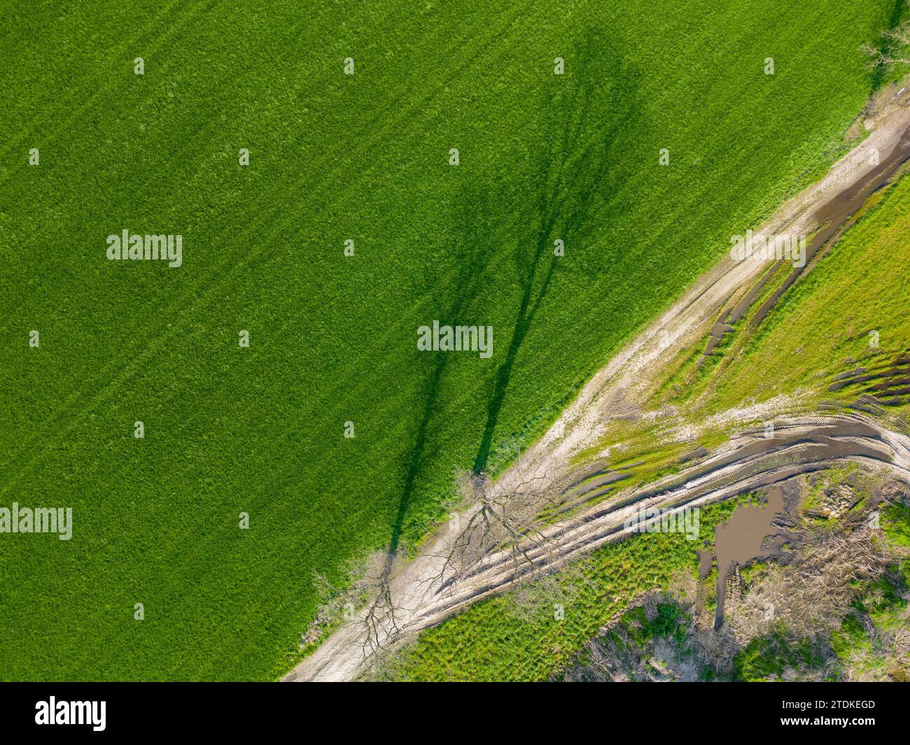 This vibrant aerial photograph captures the essence of agricultural ...
