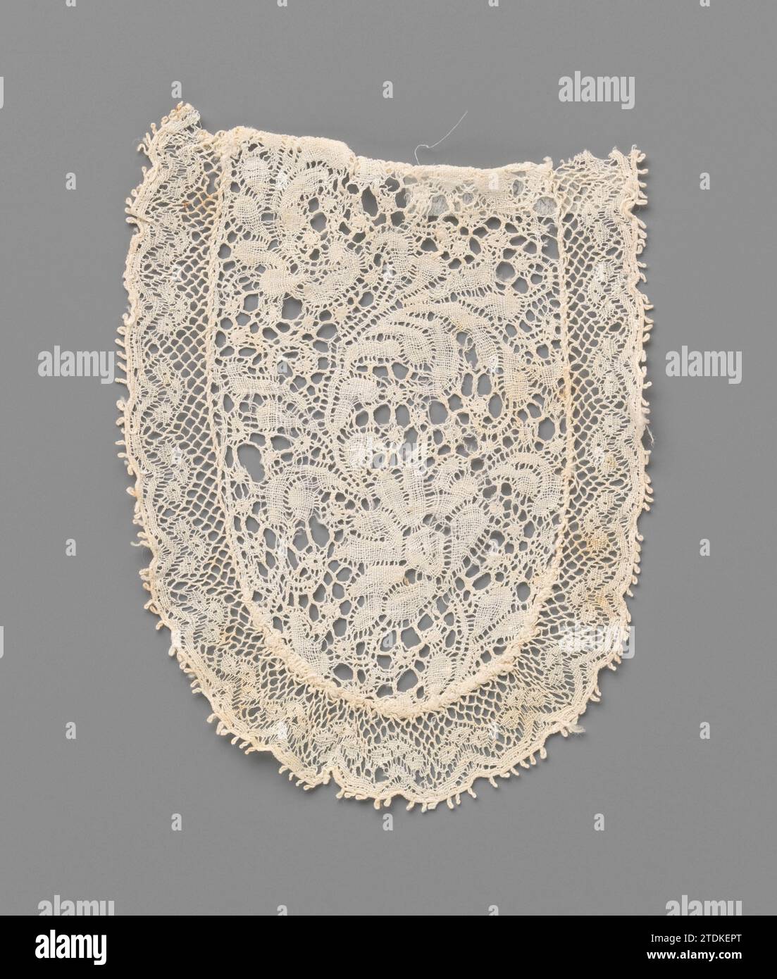 Rounded oval leaves hi-res stock photography and images - Alamy