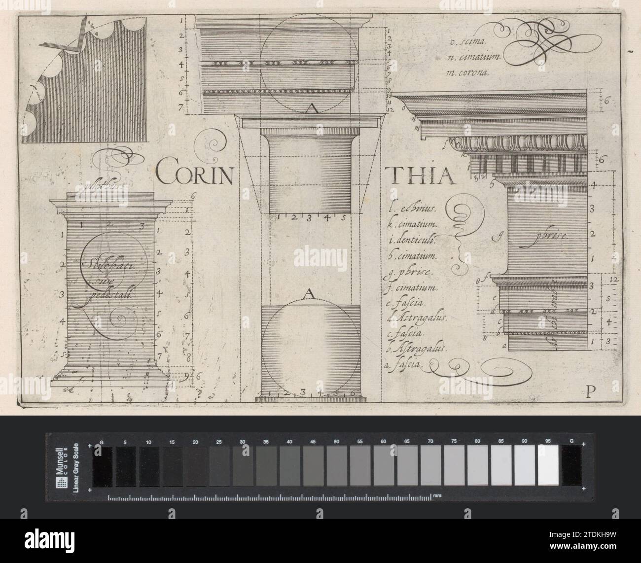 Corinthian columns and main frame, 1620 Details of the Corinthian ...