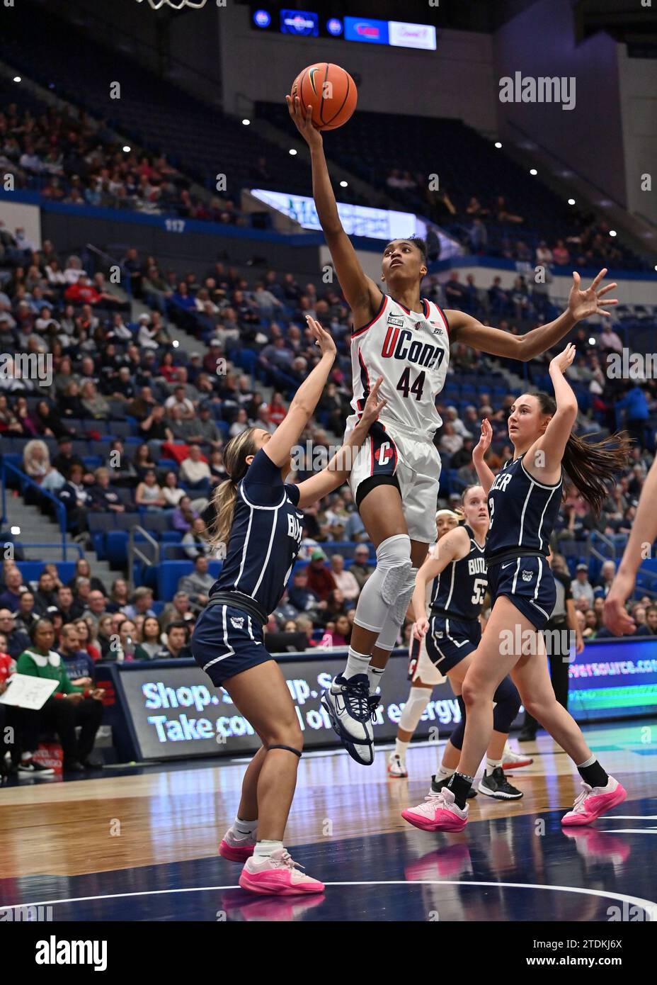 HARTFORD, CT - DECEMBER 18: UConn Huskies guard Aubrey Griffin (44 ...