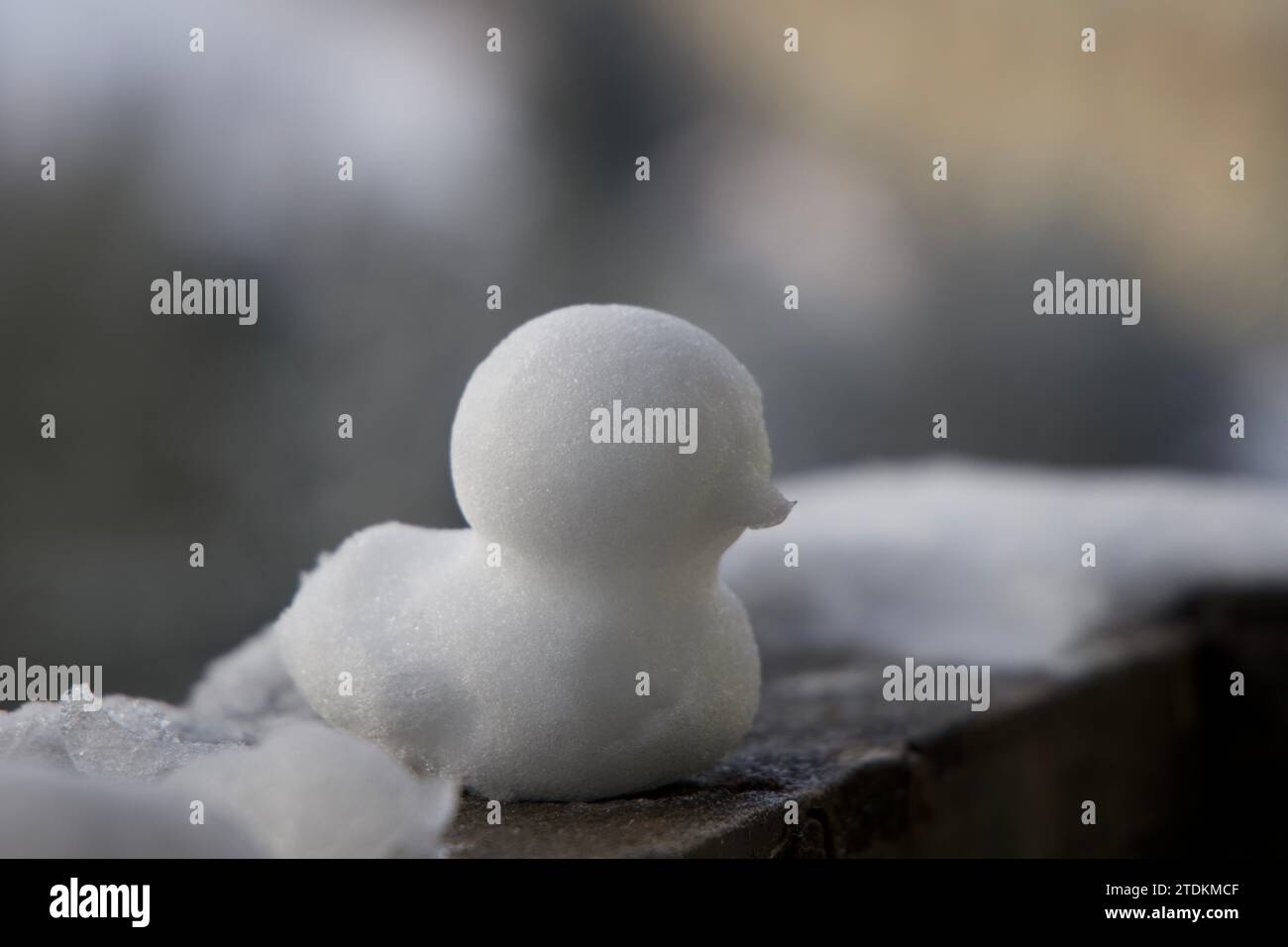 Yongpyong ski hi-res stock photography and images - Alamy