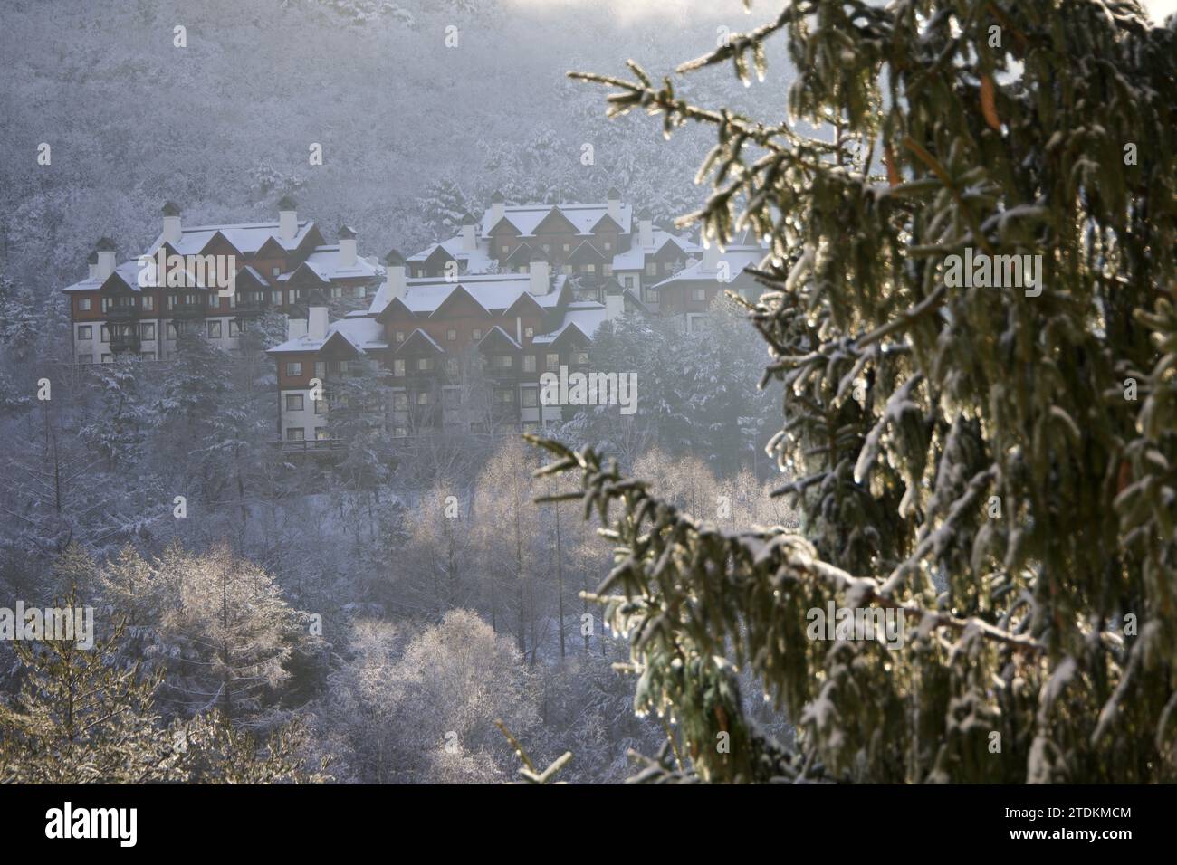 Winter Wonderland at YongPyong, South Korea Stock Photo - Alamy