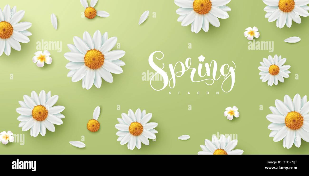 Spring season text greeting vector design. Spring season text in green ...