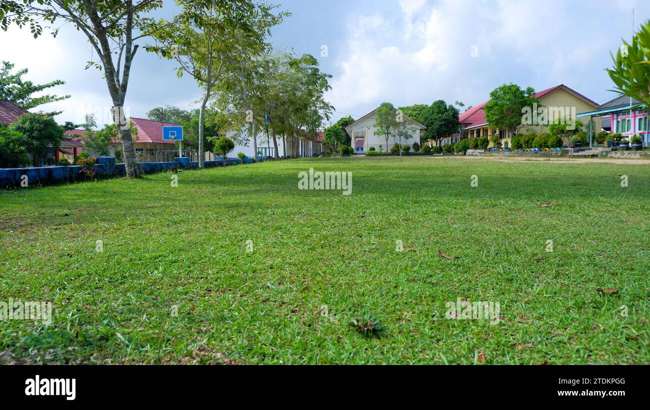 Natural Views Of Green Grass In The School Yard And Several Buildings ...