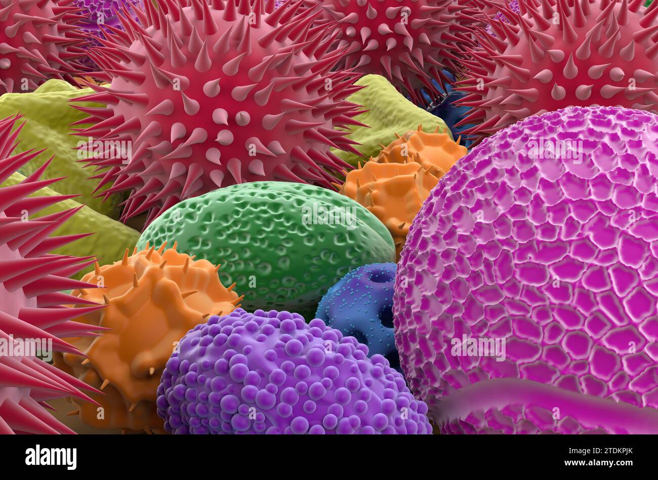 Multiple types of flowers hi-res stock photography and images - Alamy