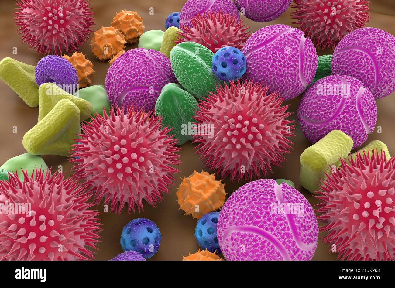Multiple types of pollen grains - isometric view 3d illustration Stock ...