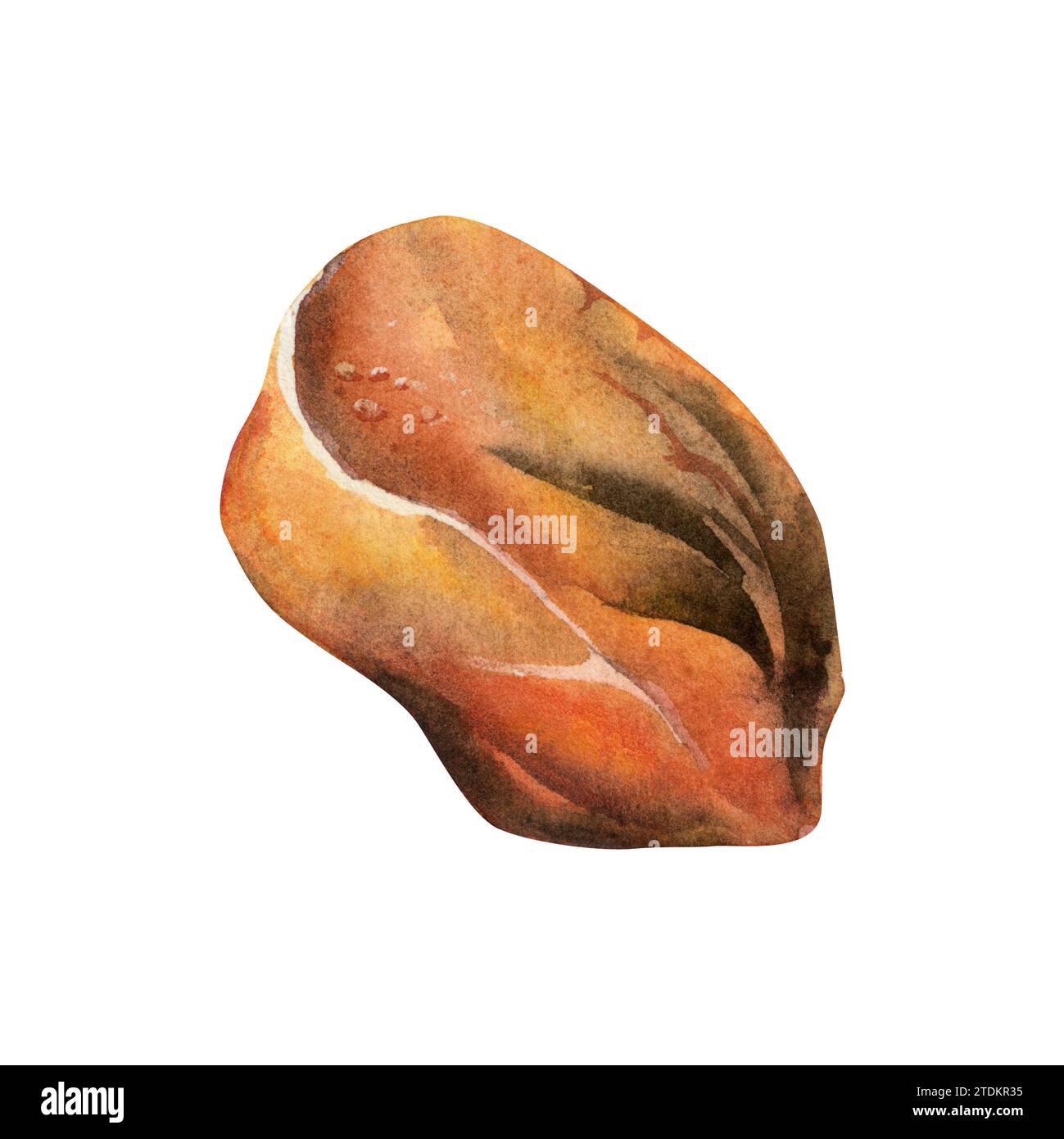 Hand drawn watercolor illustration precious semiprecious jewel gem ...