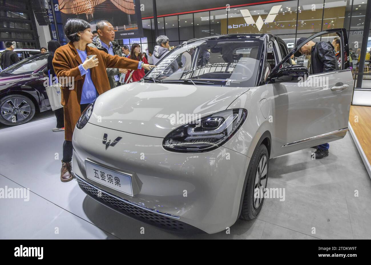 People visit the 16th China-ASEAN (Nanning) International Automobile ...