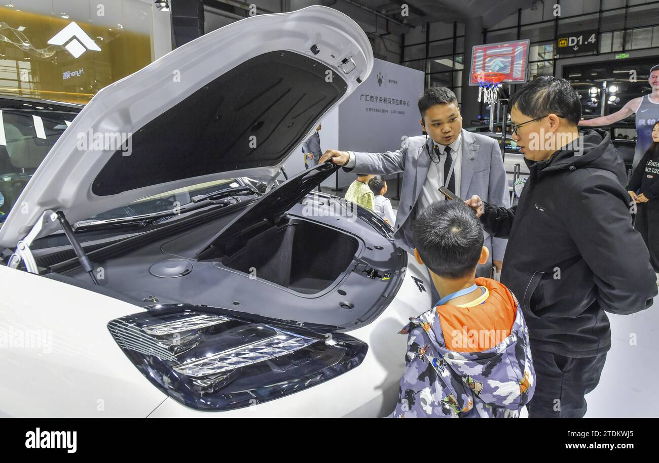 People visit the 16th China-ASEAN (Nanning) International Automobile ...