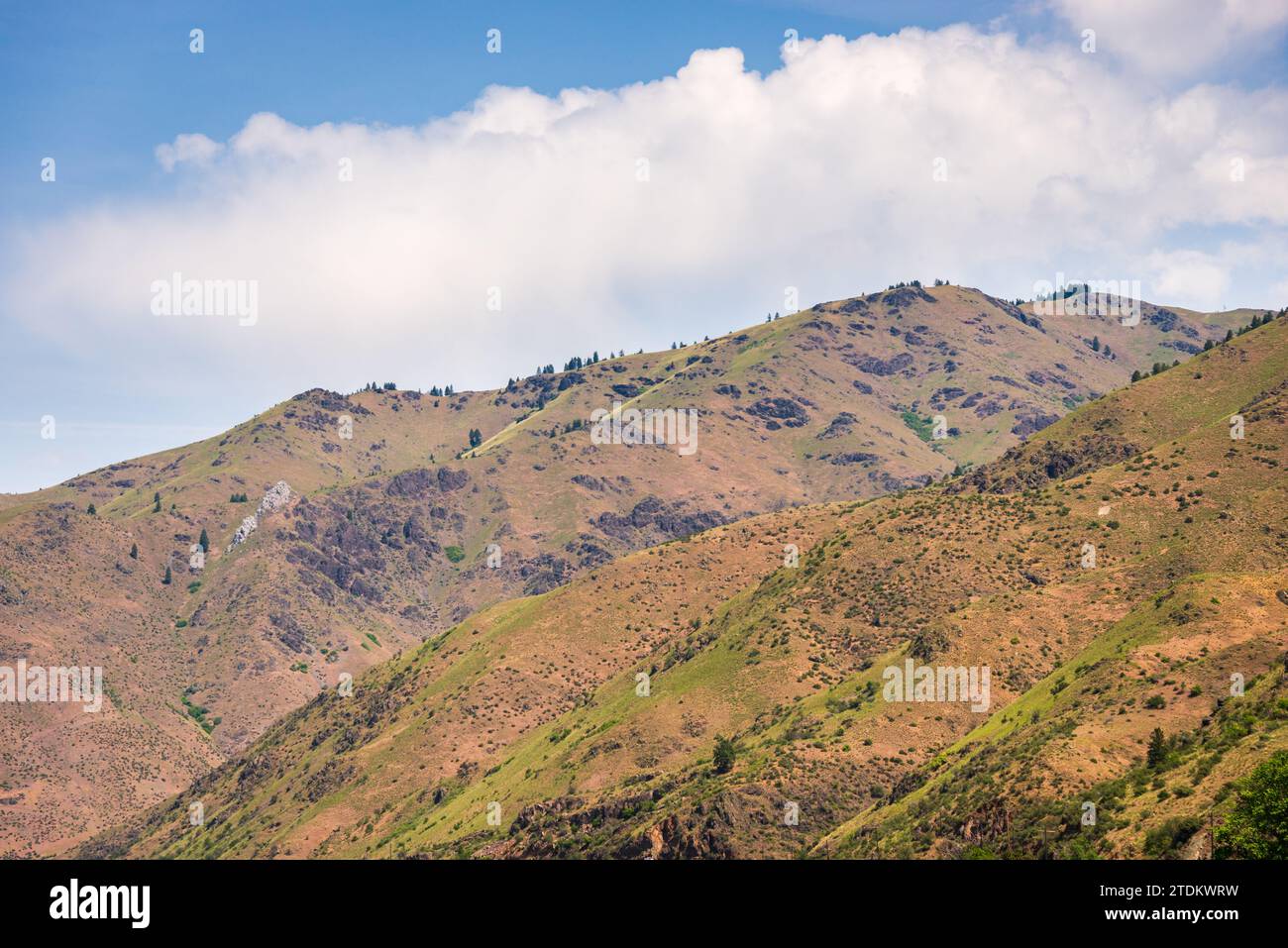 Hells Canyon National Recreation Area in Oregon and Idaho, USA Stock ...