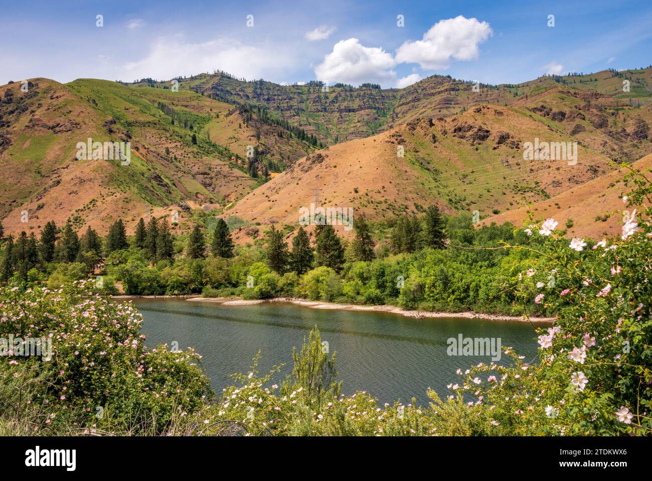 Snake River at Hells Canyon National Recreation Area in Oregon and ...