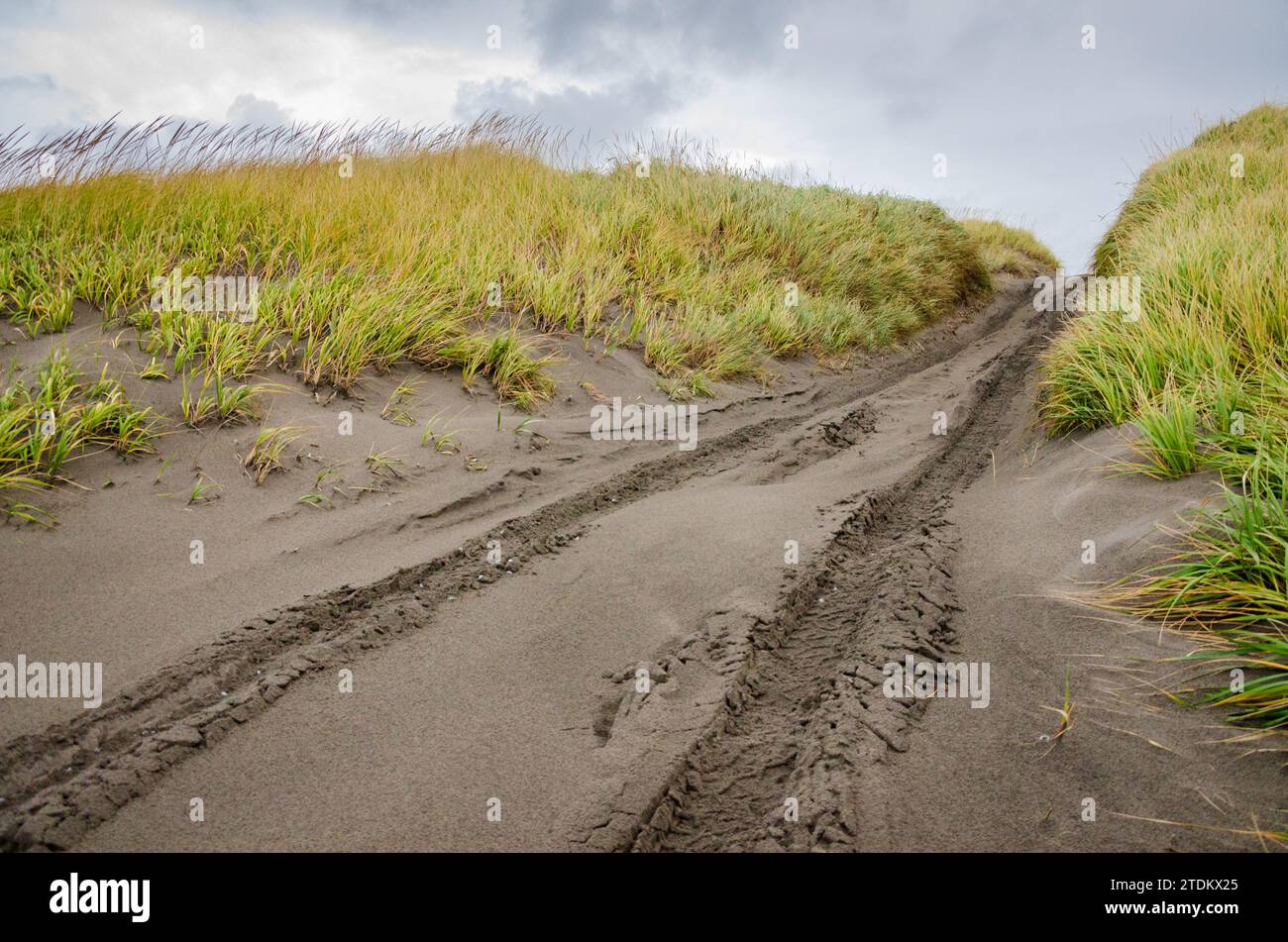 The Beach at Fort Stevens State Park in Oregon, USA Stock Photo - Alamy