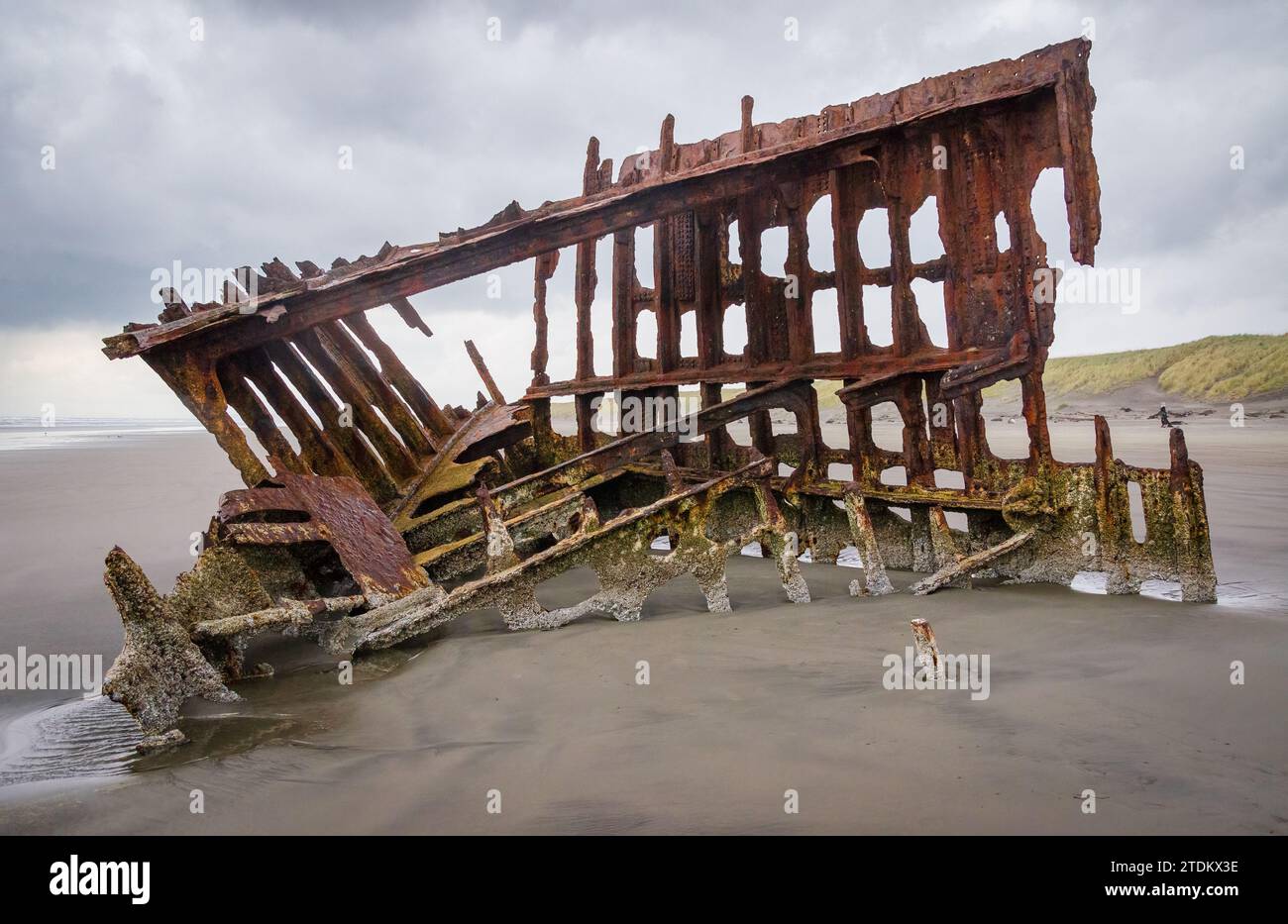 Wreck of the Peter Iredale at Fort Stevens State Park in Oregon, USA ...
