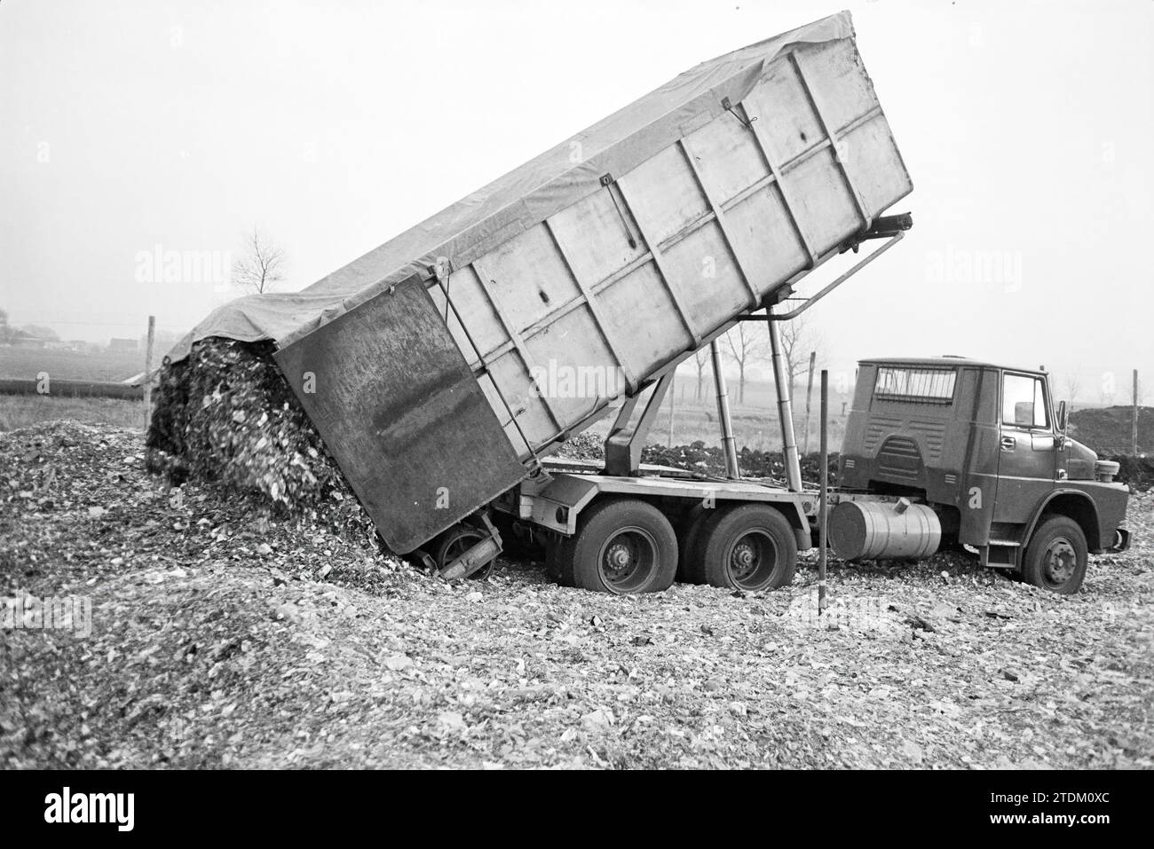 Garbage collection and dumping, Garbage, 26-11-1970, Whizgle News from ...