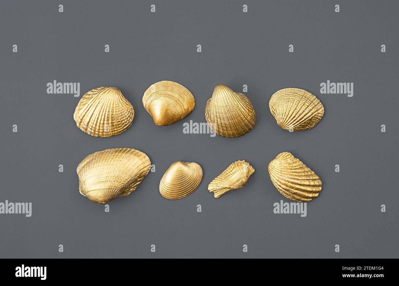 Golden shells hi-res stock photography and images - Alamy