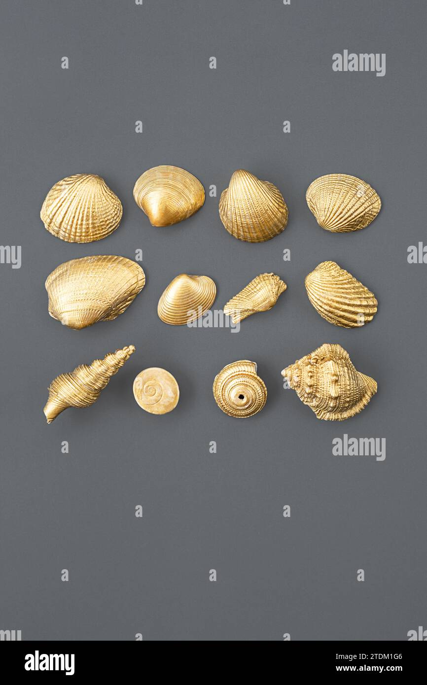Golden shells hi-res stock photography and images - Alamy