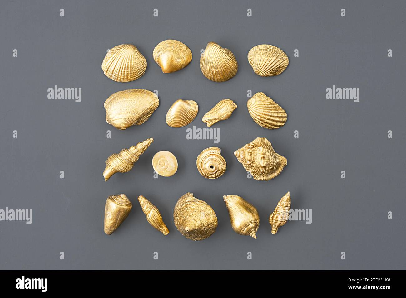 Gold coloured seashells collection Stock Photo - Alamy