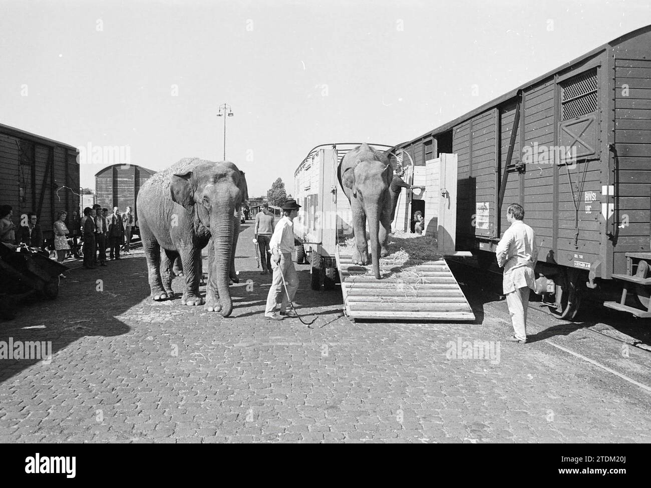 Transport circus animals, Whizgle News from the Past, Tailored for the ...
