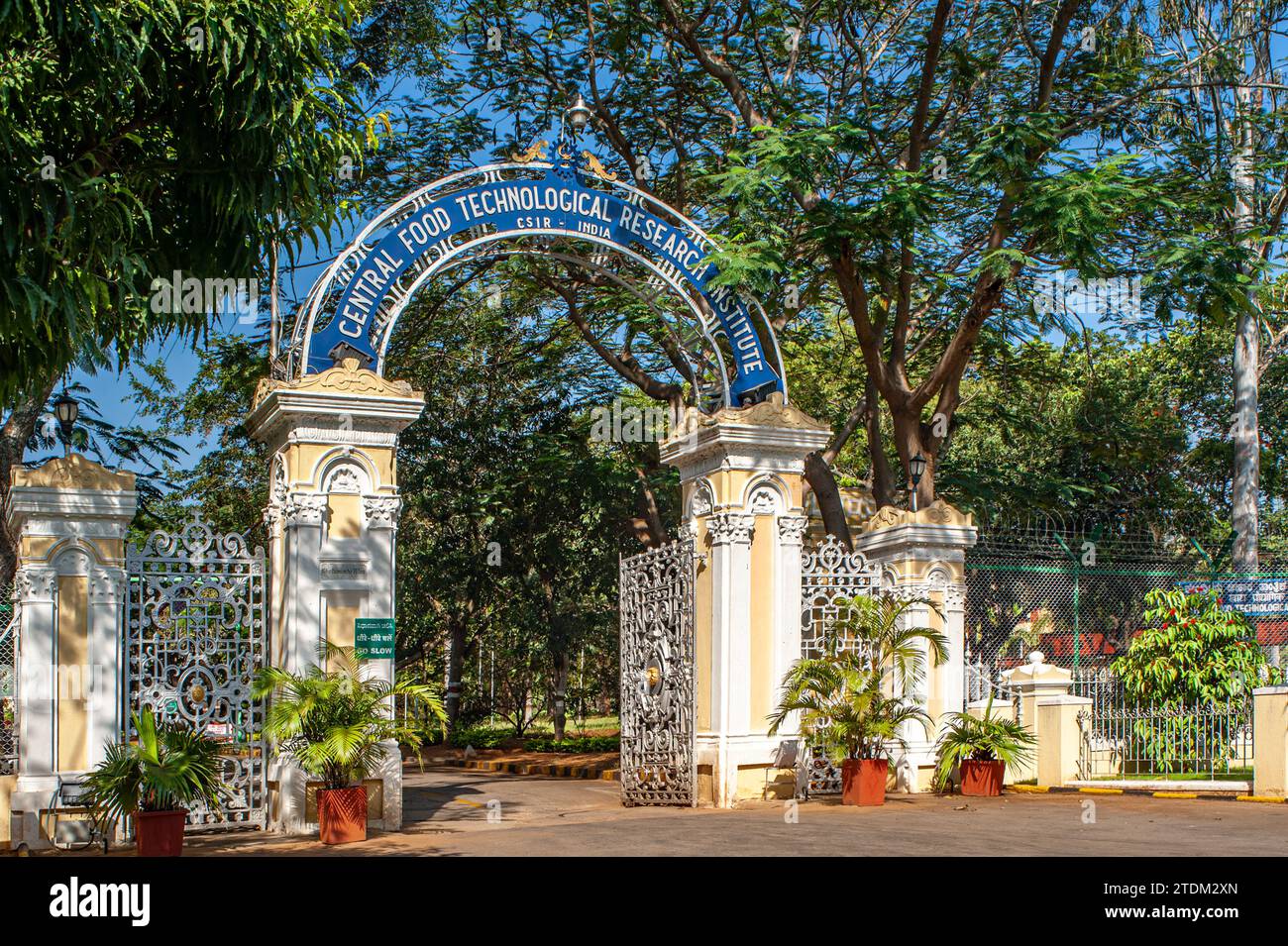 Mysore Tree House