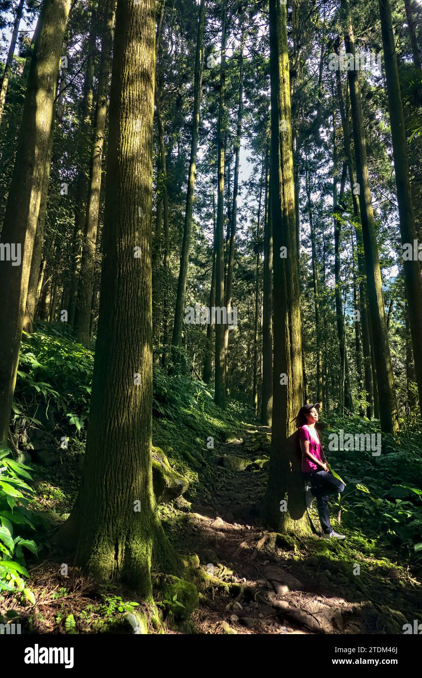 Trekking in the forest on the Fenrui Historic Trail, Fenqihu, Chiayi ...