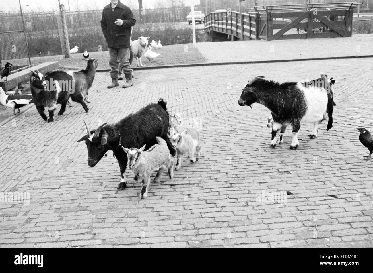 20 01 1975 hi-res stock photography and images - Alamy