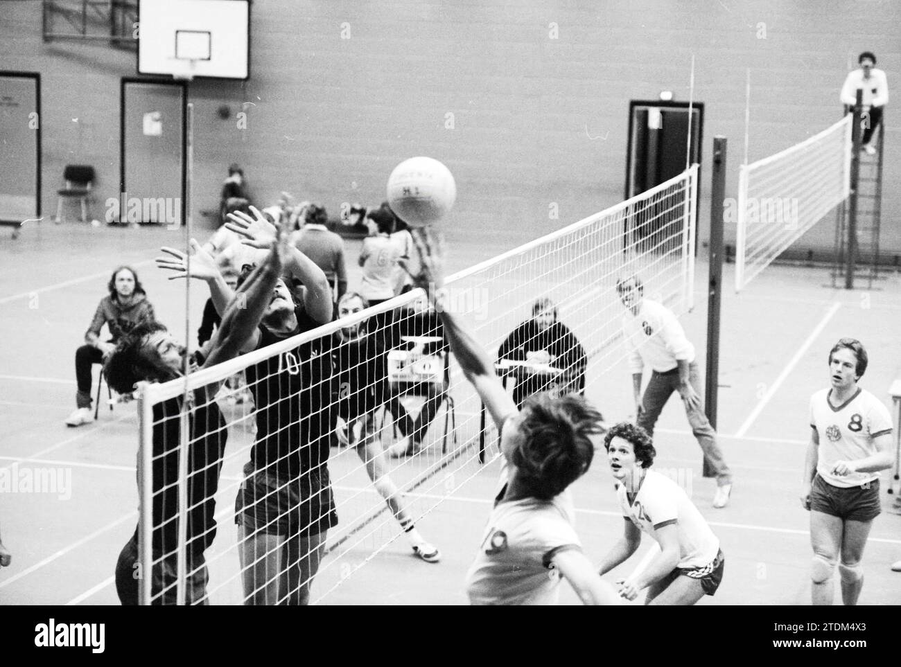 Phoenix - OVRA, Volleyball, 12-01-1980, Whizgle News from the Past ...