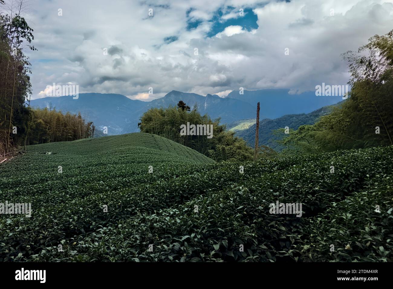 Ruelli hi-res stock photography and images - Alamy