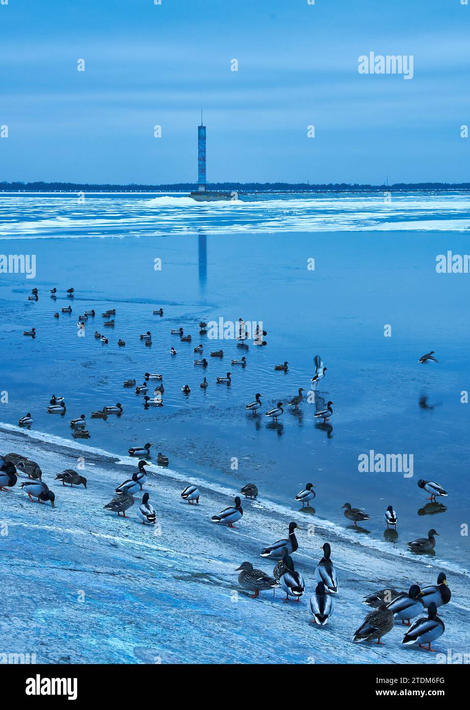 A serene winter landscape featuring a frozen reservoir covered in ...