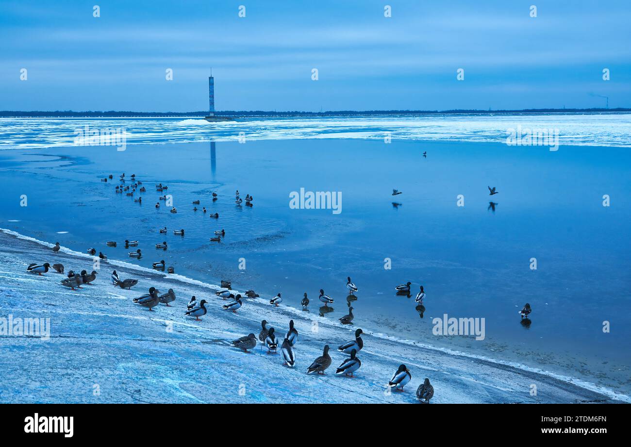 A serene winter landscape featuring a frozen reservoir covered in ...
