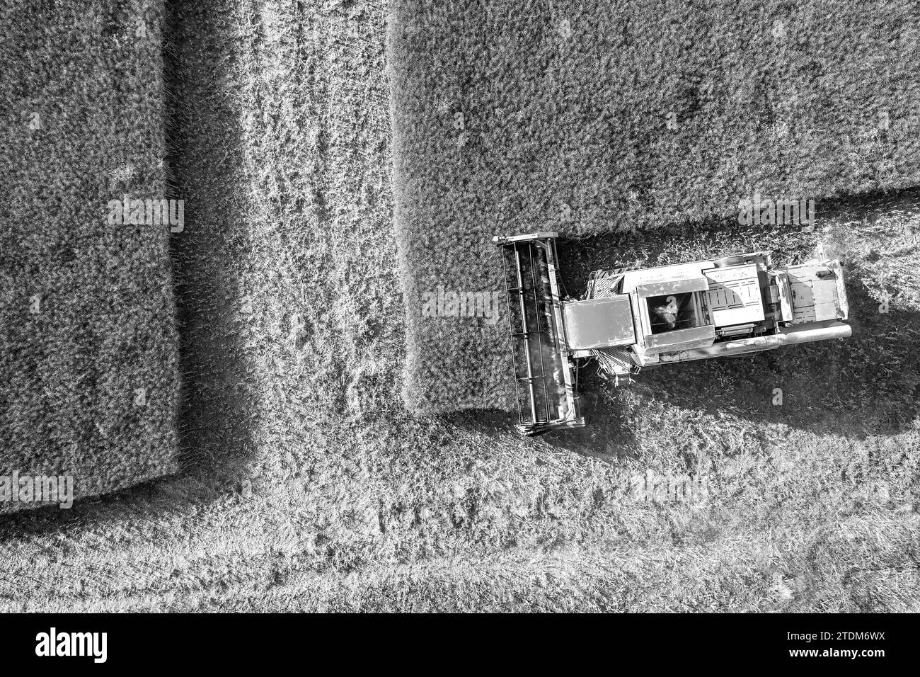 Aerial view agricultural field rows Black and White Stock Photos ...