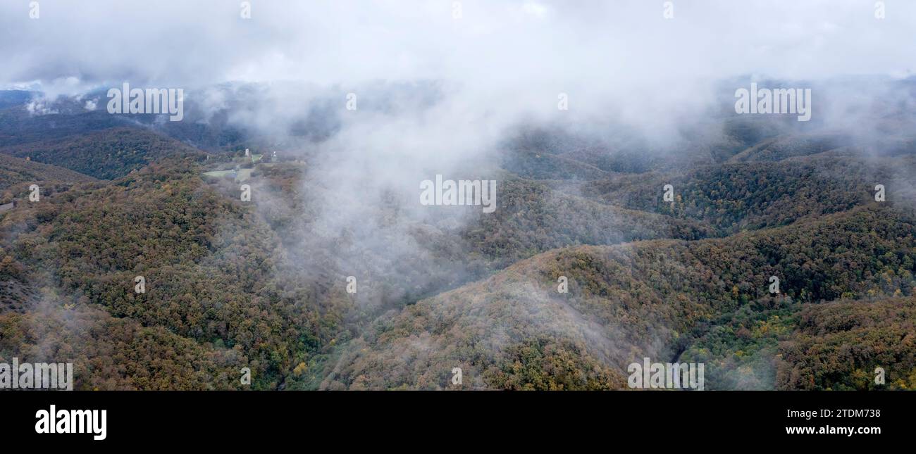 Autumn forest after rain hi-res stock photography and images - Alamy