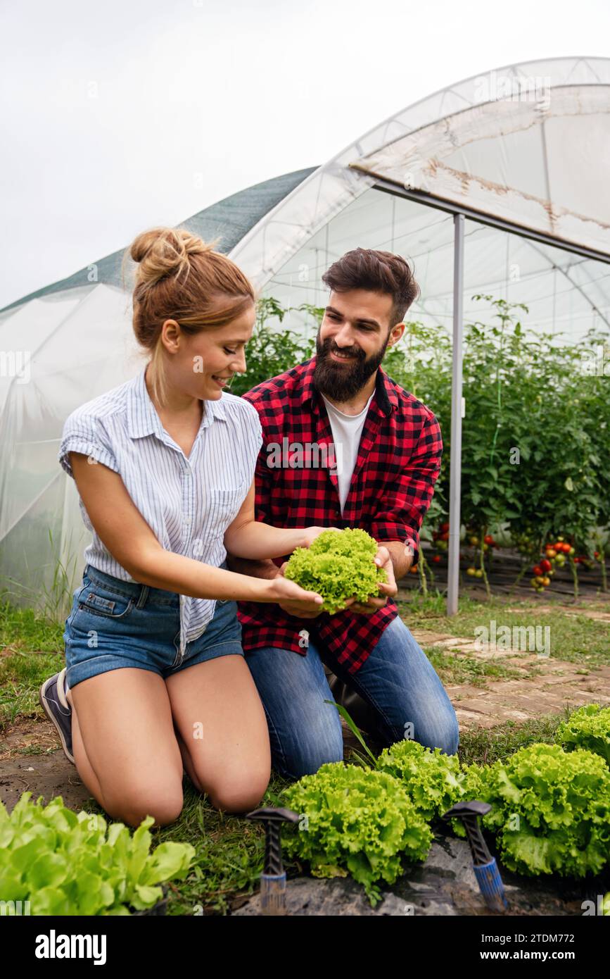 Happy family agriculture bio farmers working picking vegetables working ...