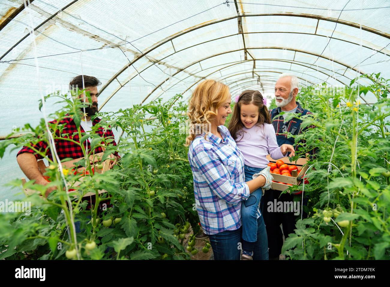 Happy family, generations working together organic farm in greenhouse ...