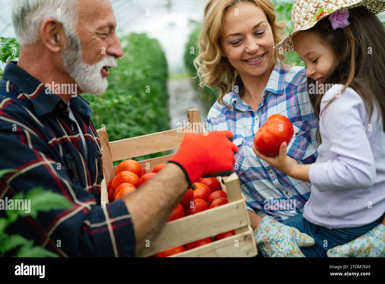 Family working together in greenhouse. Multigenerational family while ...