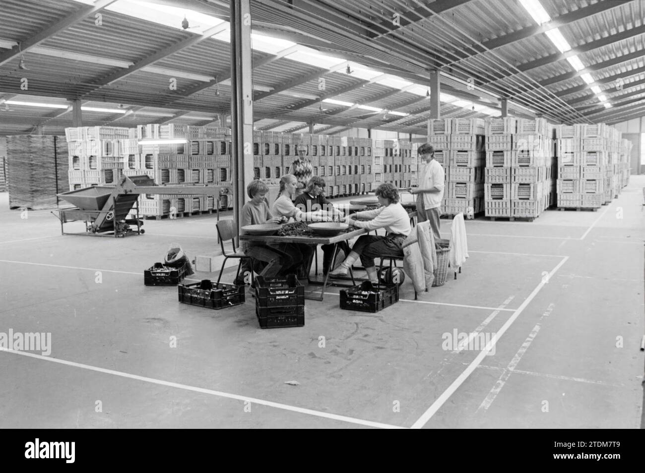 Fablo tennis hall hi-res stock photography and images - Alamy