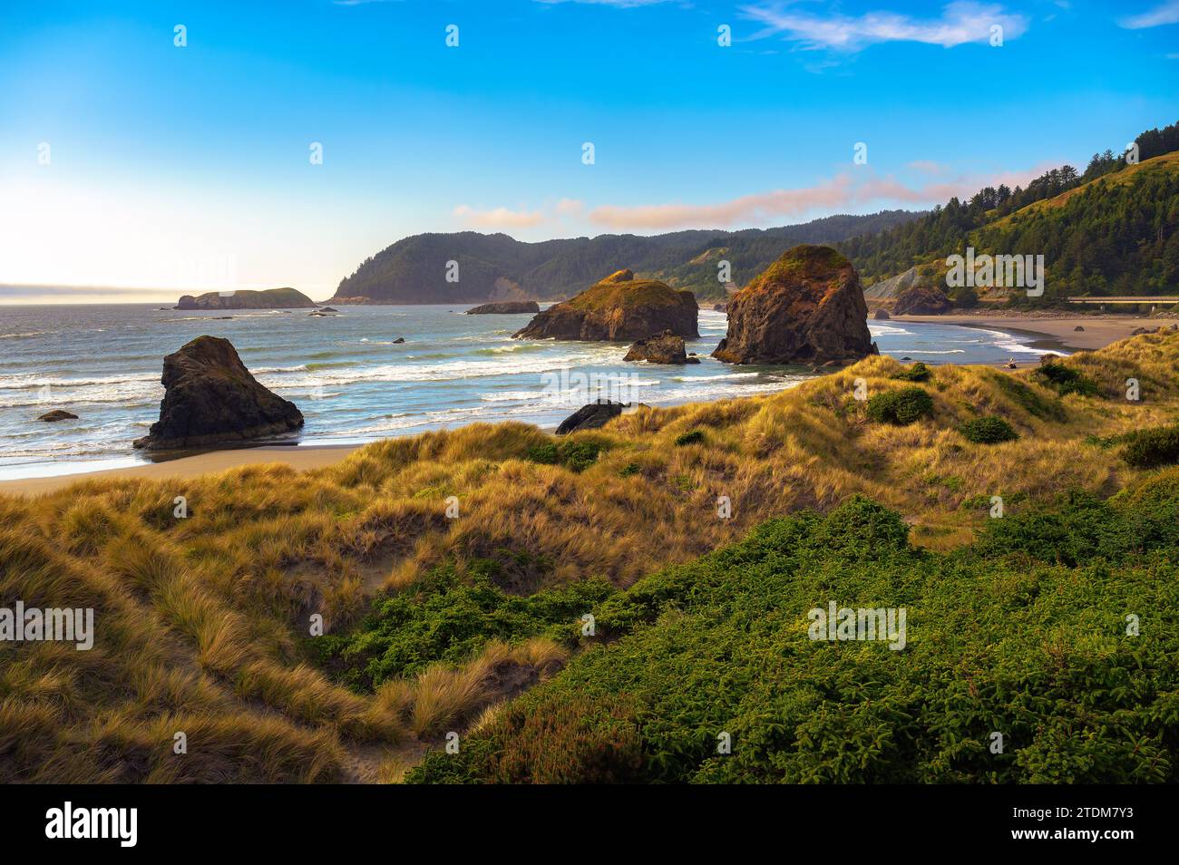 Sunset at Pistol River State Scenic Viewpoint of Meyers Creek Beach ...