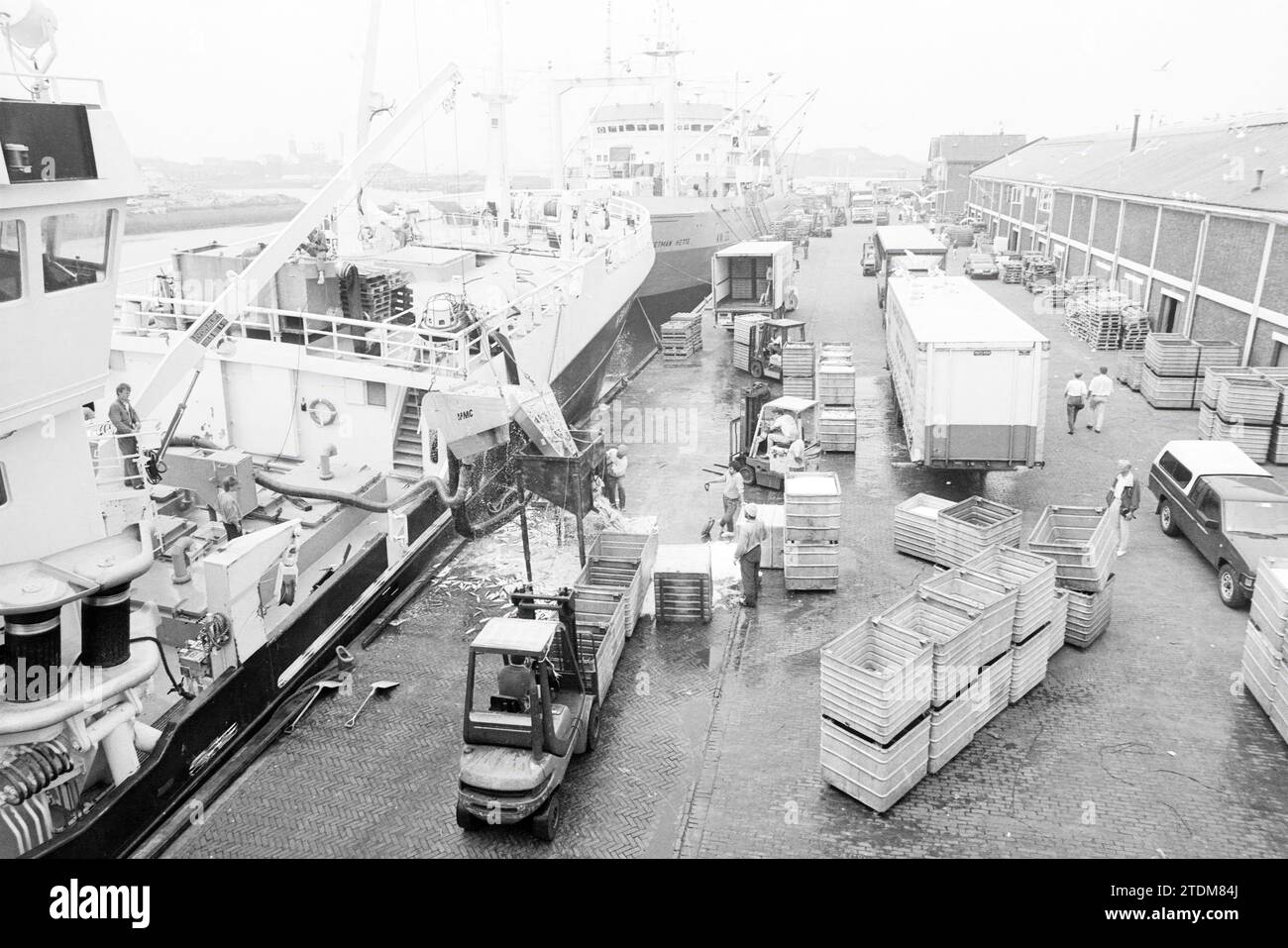 Overview of herring port with unloading ships, ports, ships, IJmuiden ...
