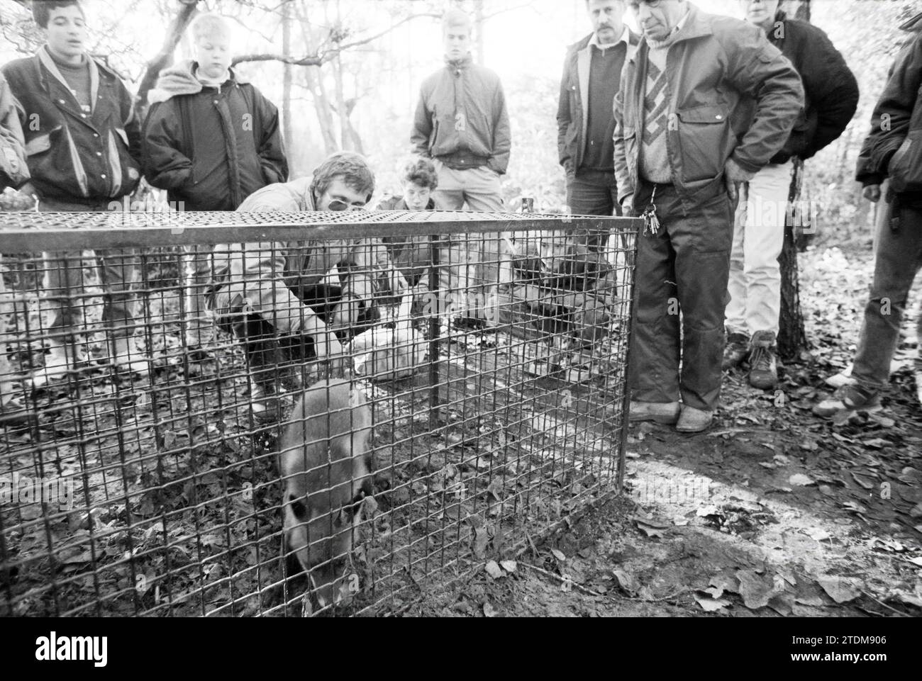 Dear key school hi-res stock photography and images - Alamy