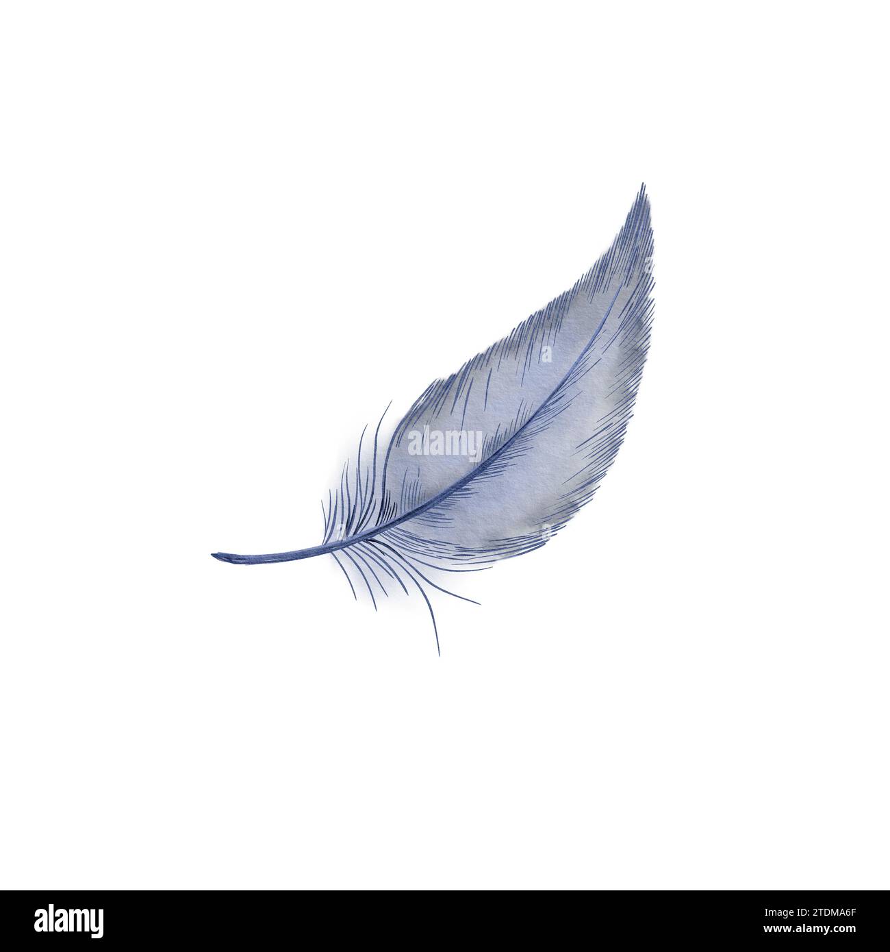 Peacock feather digital art hi-res stock photography and images - Alamy