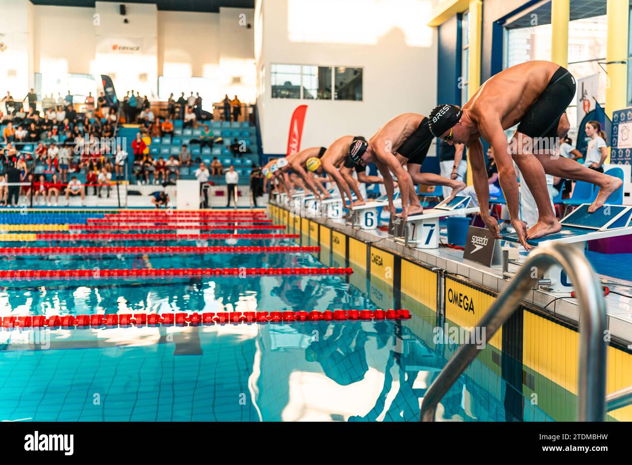 800m freestyle men hi-res stock photography and images - Alamy