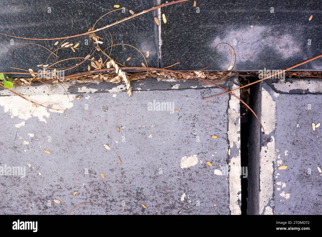 Closeup view of a concrete sewer on the sidewalk Stock Photo - Alamy