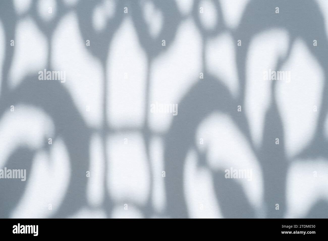 Lace shadows on white background. Texture overlay Stock Photo - Alamy
