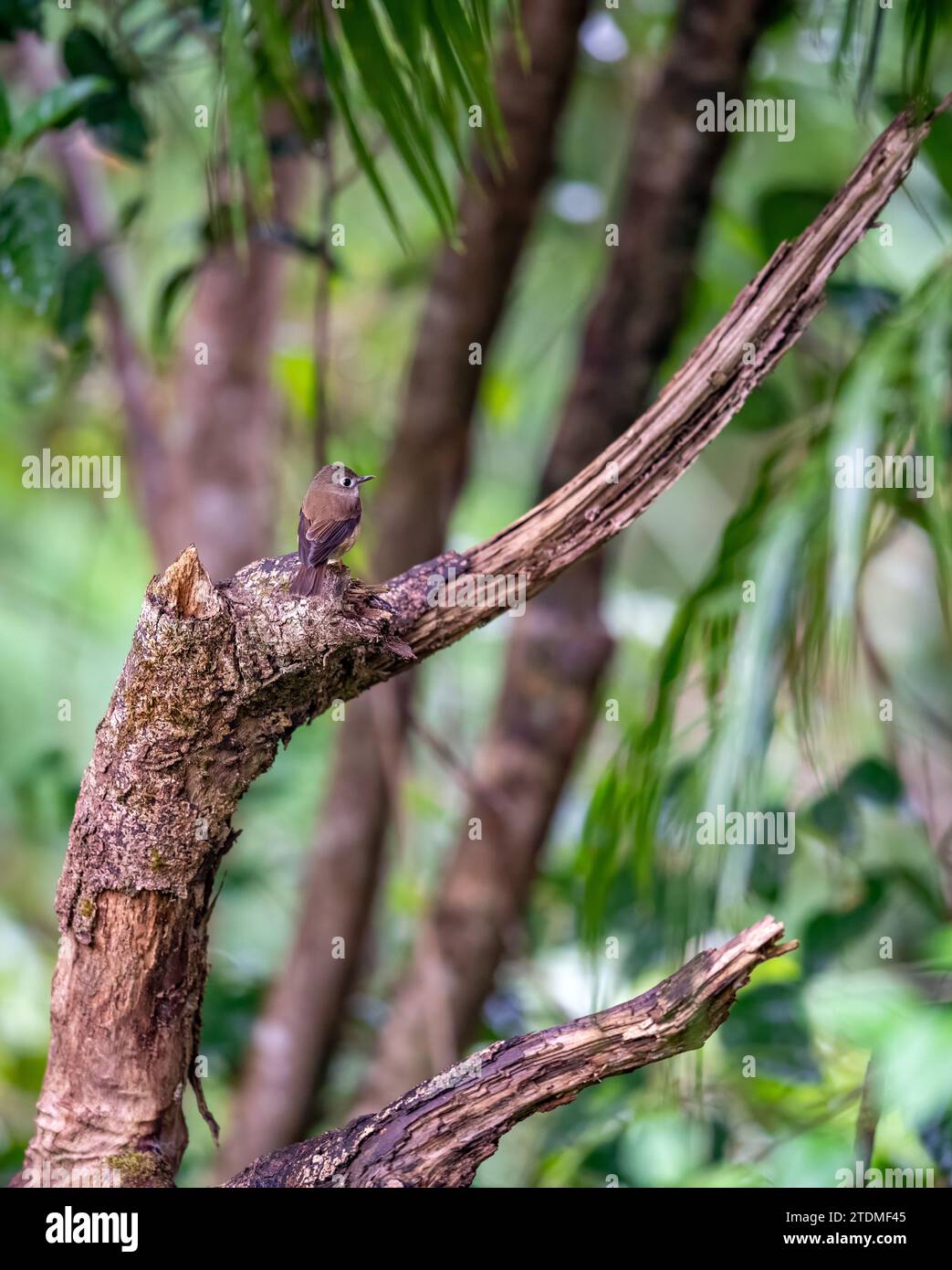 Gavi birding trails hi-res stock photography and images - Alamy