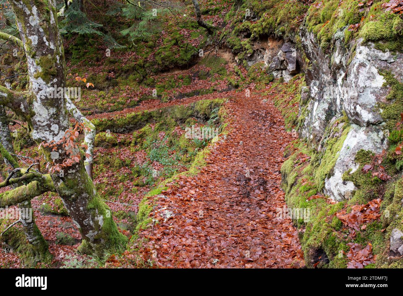 Randolphs leap hi-res stock photography and images - Alamy